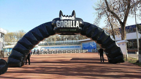 Арка START/FINISH (изготовление, аренда) старт-финиш арки