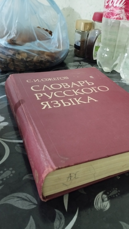 Книга русский толковый словарь
