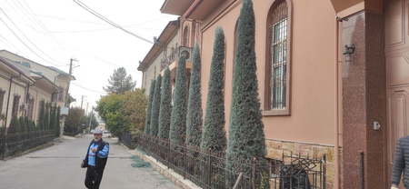 Archa Kesiw xizmati