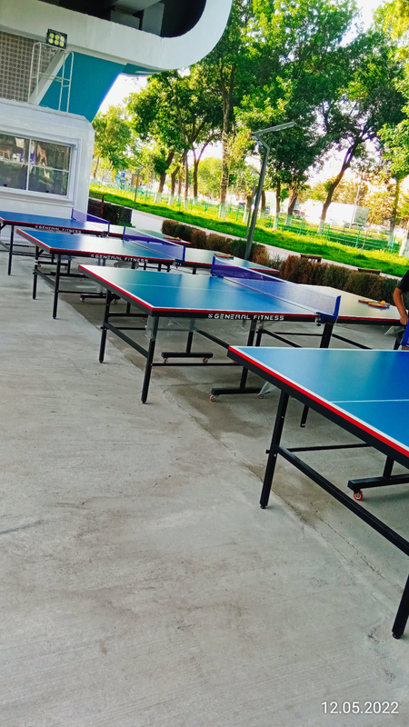 Tenis stol Теннисный стол  Шарики