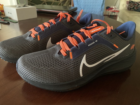 Кроссовки Nike Pegasus 40