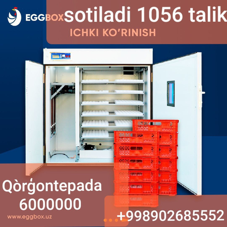 Инкубатор 1056 талик
