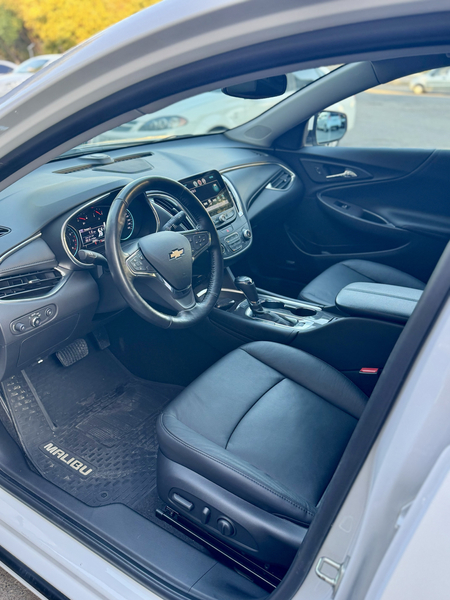 Arenda Malibu 2.4