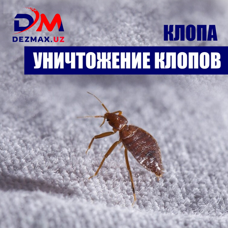 Уничтожение Насекомых,Профессиональная компания