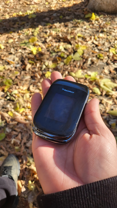 Blackberry сотилади