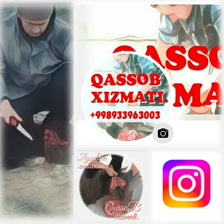 Қассоб Qassob ҳизмати.