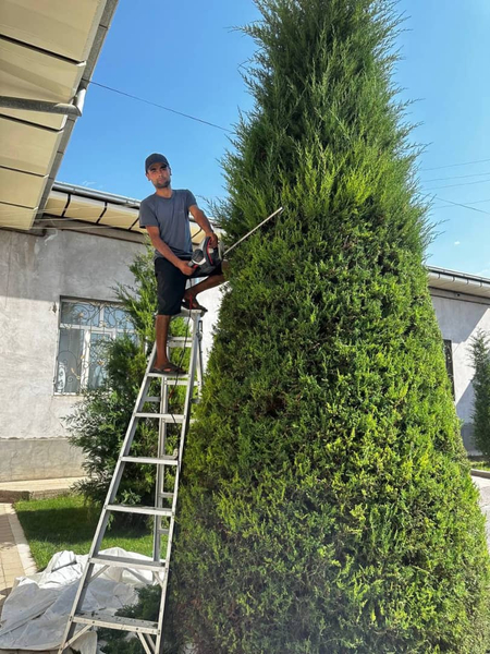 Арча кессиш дорилаш хизмати Archa kesish.
