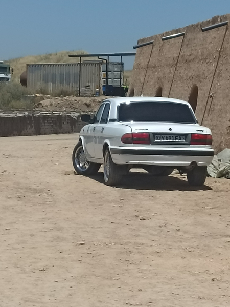 Volga 31 10 gaz benzin
