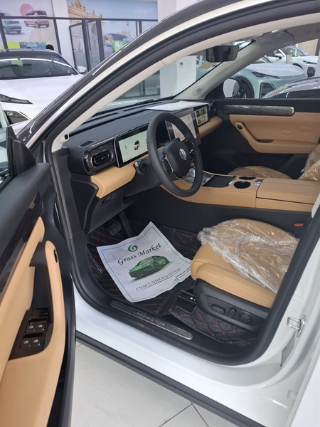 Leapmotor C11 * Hybrid * 2024 Restayling