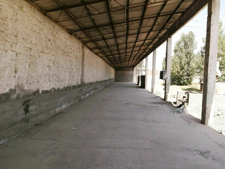 Срочно продаётся 6000 м². производственный цех в г.Келесе.