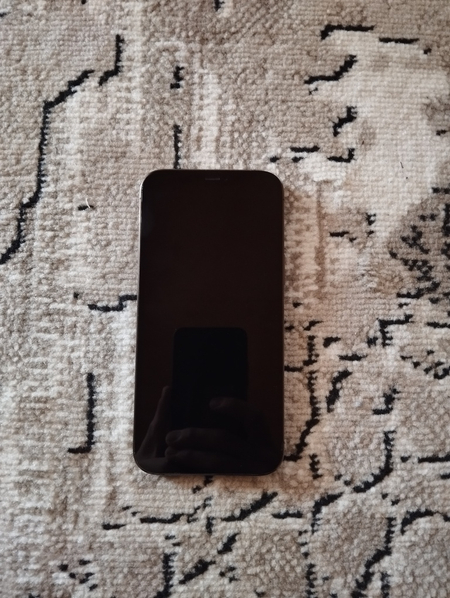 Iphone 12 pro max