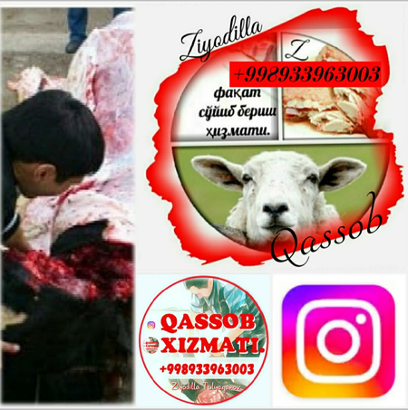 Қассоб Qassob кассоб  ҳизмати.