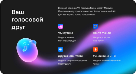 Умная колонка VK Капсула Мини с голосовым помощником Марусей/Маруся