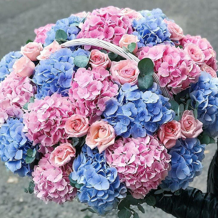 Royal Roses GUL DO'KONI