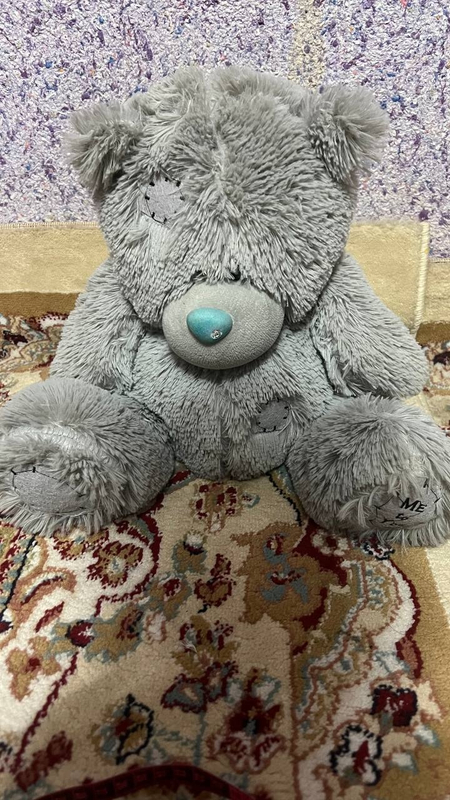 Teddy ayiqchalar