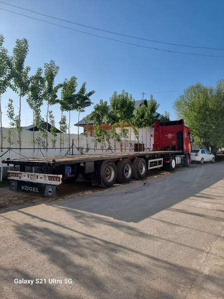DAF XF euro 5 + прицеп сотилади