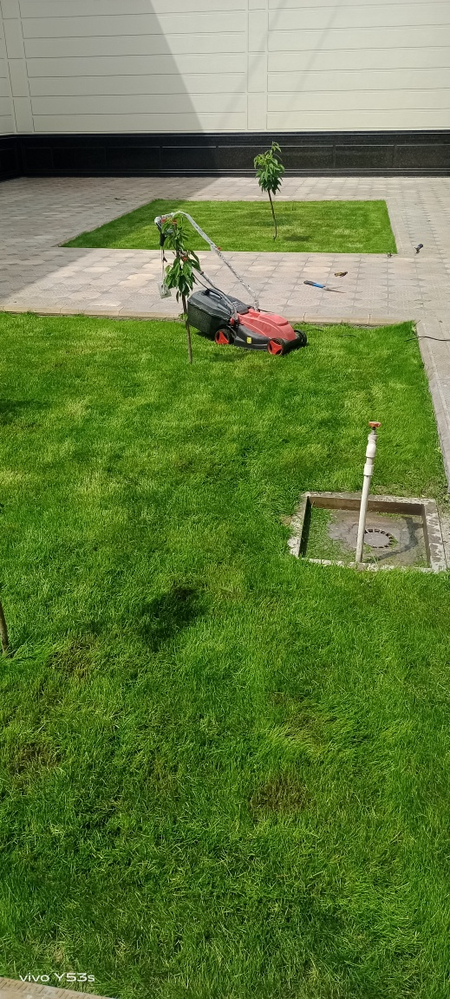 Услуга стрижка газона