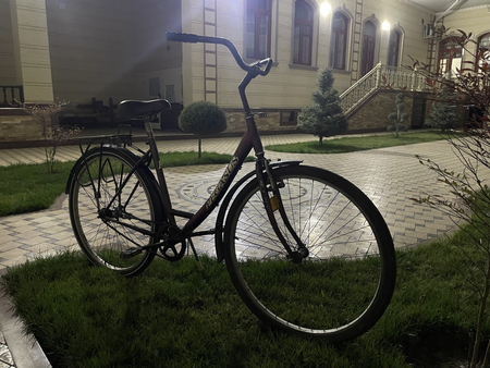 velosapet germaniskiy buqa