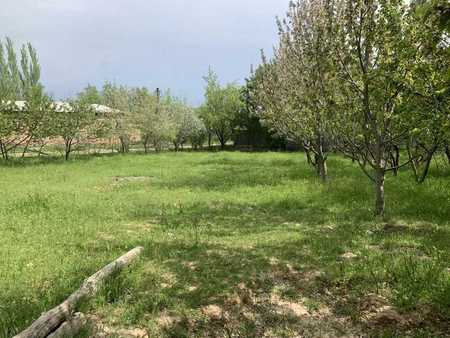 Arzon narxlarda dacha uchun yer sotiladi.