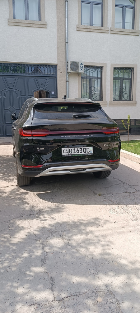 Byd Chepion 605 km без пробег