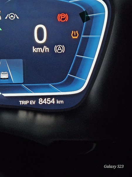 Byd champion dm-i hybrid 2024