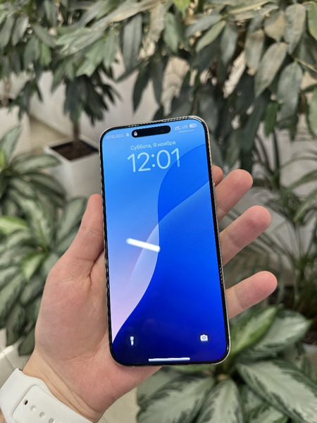 iPhone 15 pro max 256 gb LLA white titanium