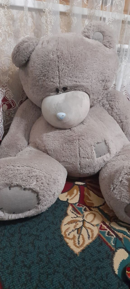 Katta Teddy ayigʻi