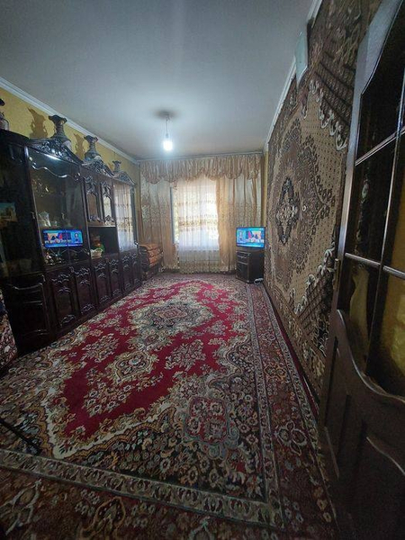 Карасу-2 квартира 2в3/4/4 с мебелью и техникой. N166