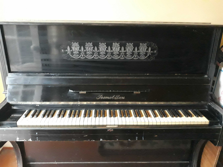 Pianino Rostov don.