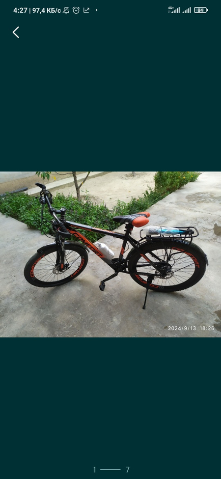 Velik yangi sportivni
