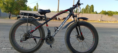 Veloseped rasmda korsatilgan