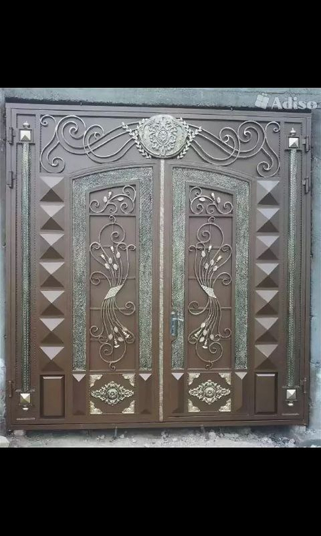 Temir Darvoza Pajara Naves