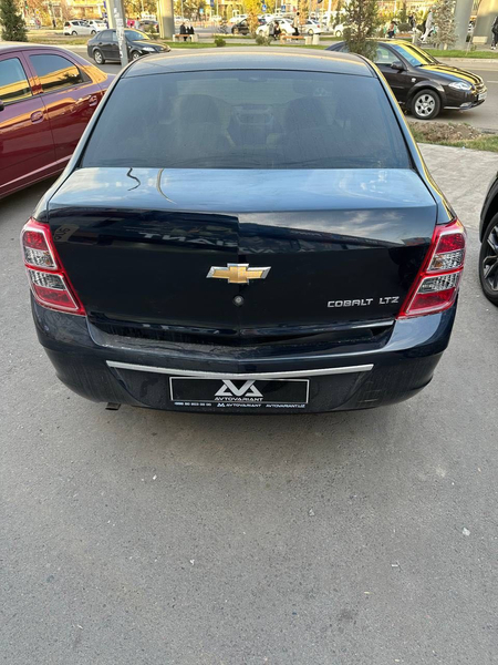COBALT QORA 2024 yılı