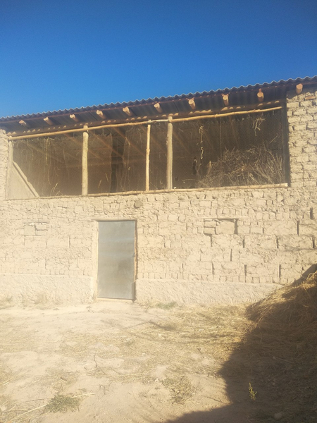 Yer maydoniga  ega uy soriladi