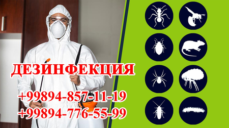Дизинфексия хизмати