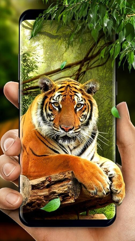 3D картинки, Печать на стенах