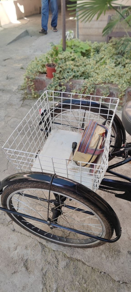 Elektro velosiped.