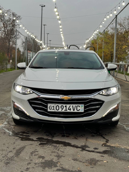 Arenda Malibu 2 premier