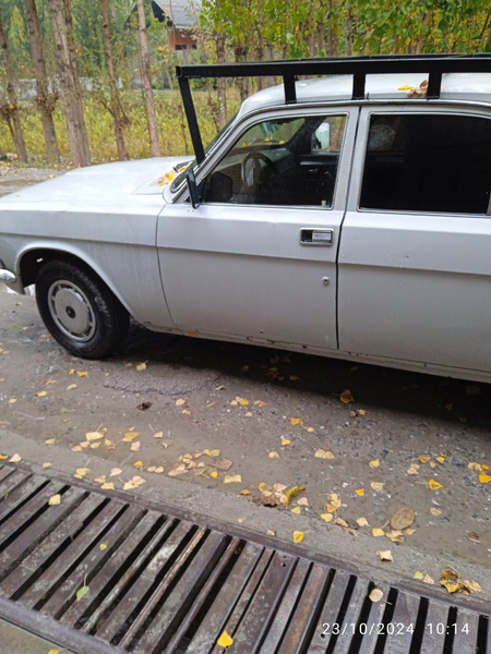 24 10 volga prsepi bilan