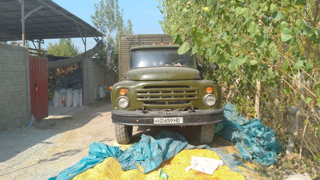 Zil samasval holati yaxshi kelishiladi