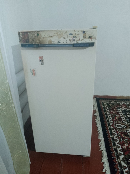 Холодильник Саратов