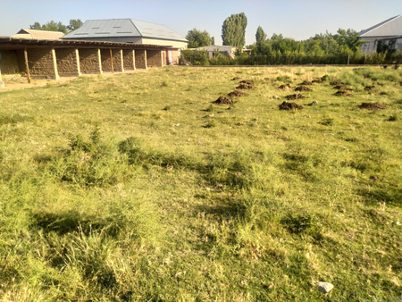 Участка сотилади. Продается участок