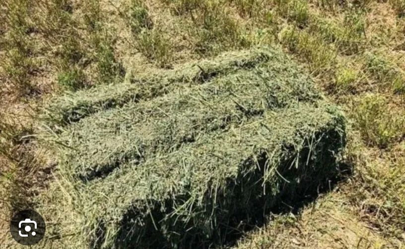 беда пресс сотилади катта улчамли
