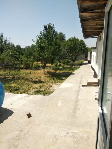 N1573 Toshkent tumani Tutzor Toshmi postidan otkandan keyin 8 sotix