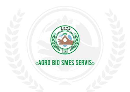 Grafik Dizayner | Logotip Dizayni | Logo Branding