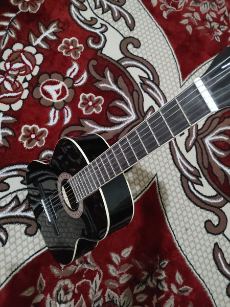 Akustik gitara-SAR