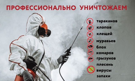 Дезинфекция тараканов, клопов, мышей, крыс, плесени 24/7