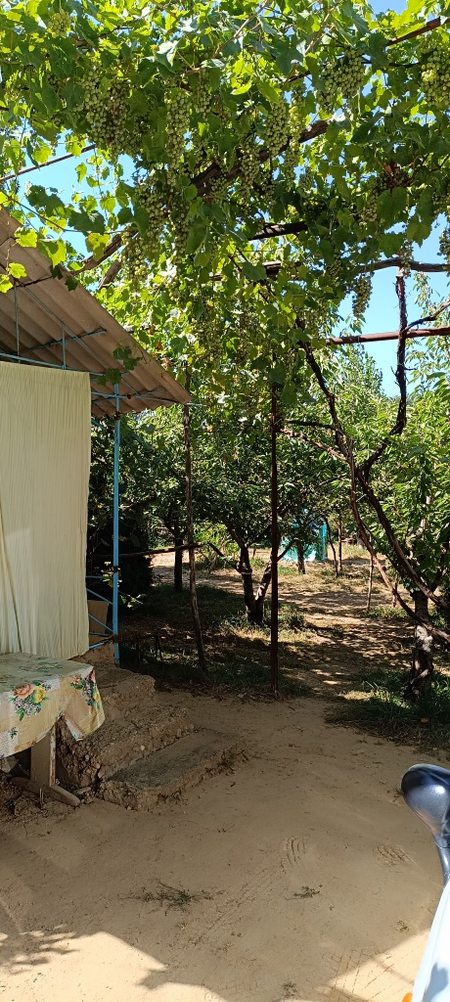 Dacha qurishga yer sotiladi srochno