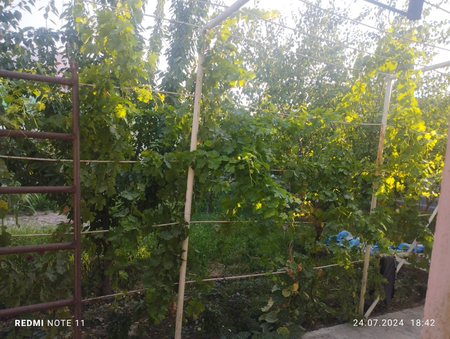 Yashashga tayyor uy sharoitlari yaxshi