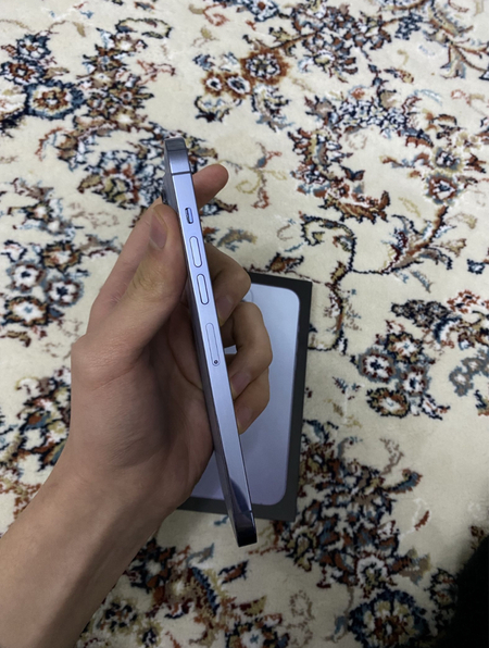 Iphone 13 pro max 512 gb